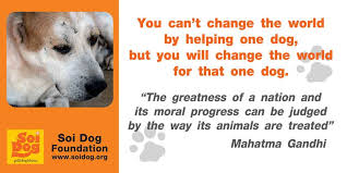 uuuii | For the Love of Pets.