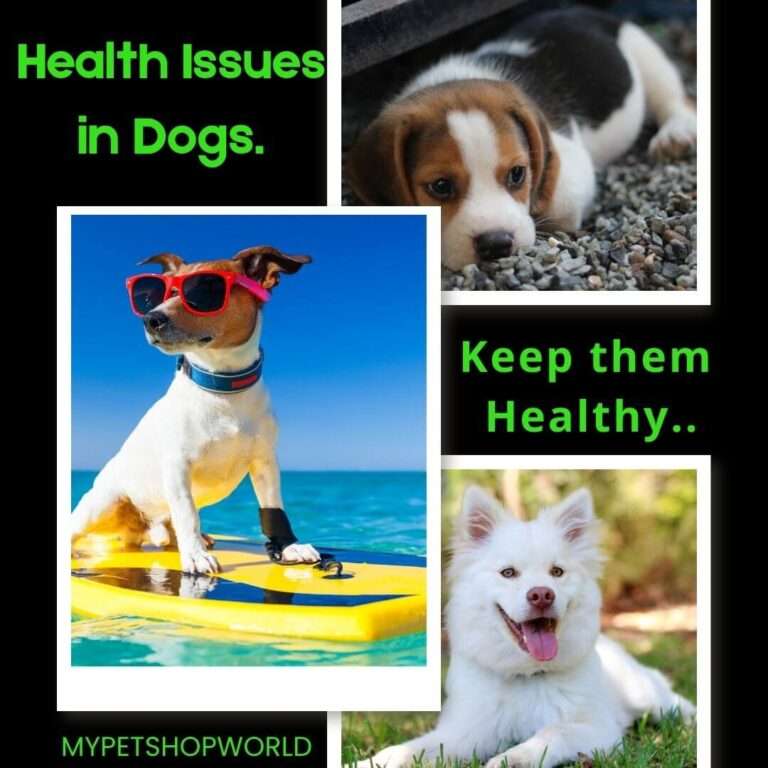 10 Common Health Issues in Dogs. How to prevent them.