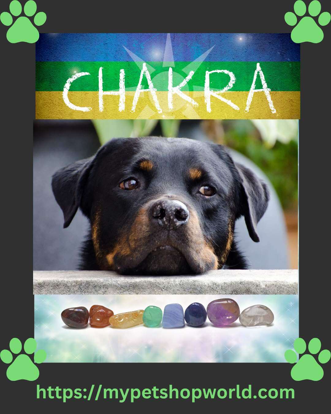 Unlock Your Pet's Hidden Language: Decoding Animal Chakras