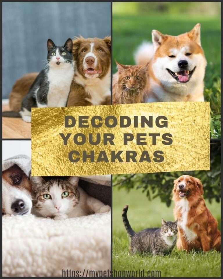 Unlock Your Pet's Hidden Language: Decoding Animal Chakras